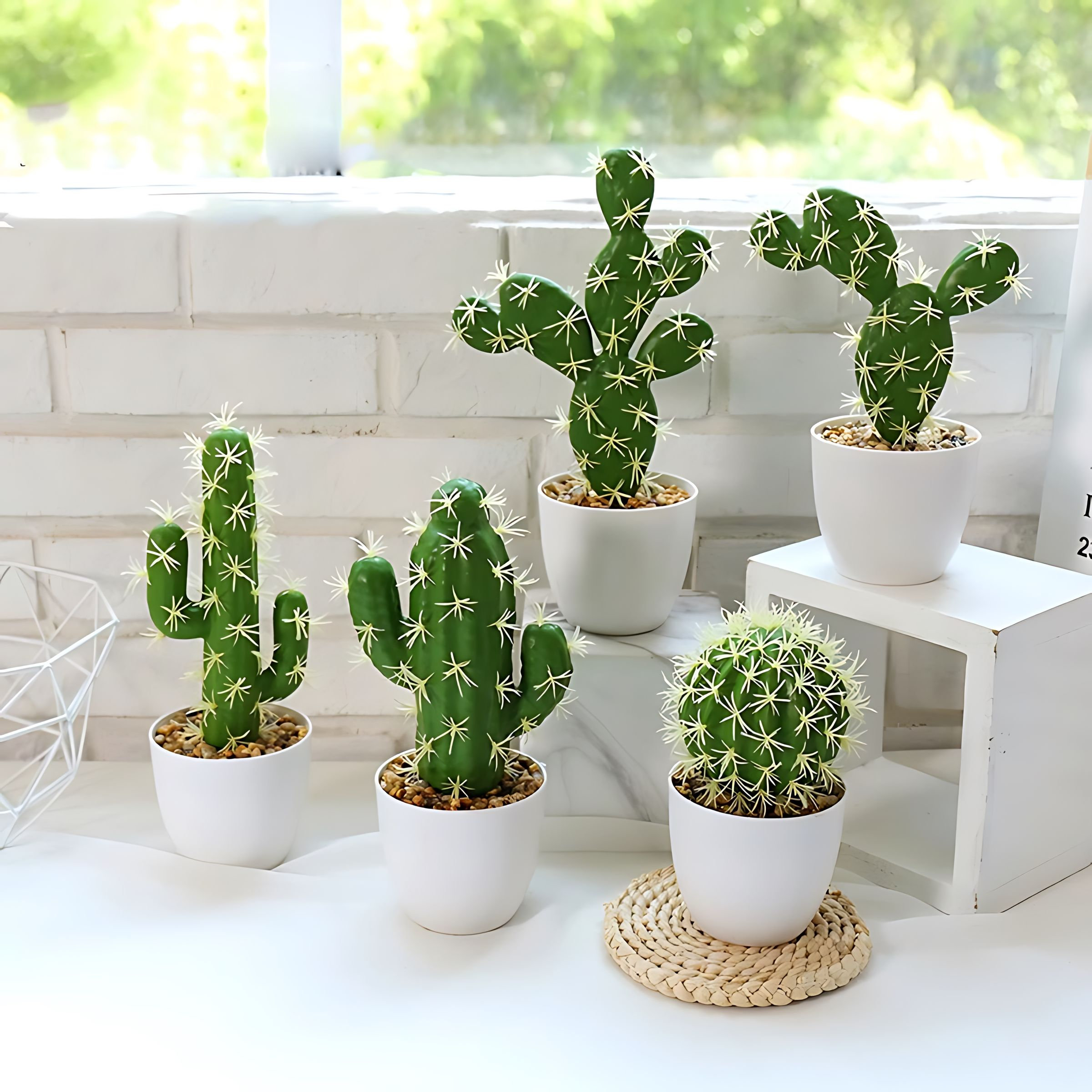 Primrue Nordic Green Plants, Indoor Cacti, Small Potted Plants ...