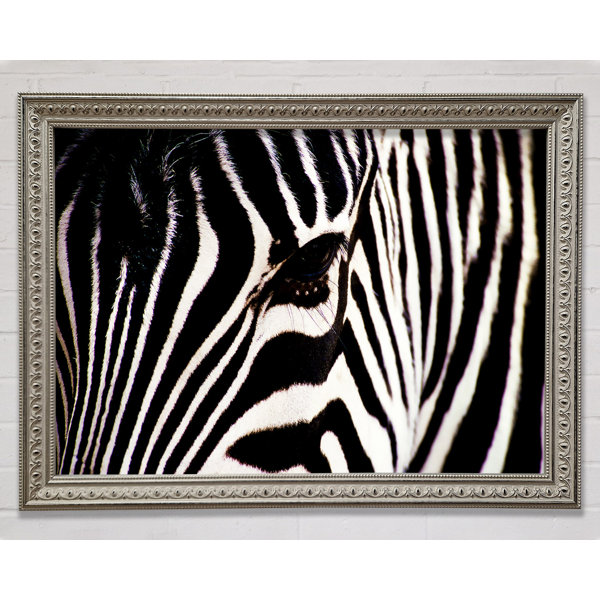 Ebern Designs Zebra Stare - Picture Frame Rectangle Print | Wayfair.co.uk