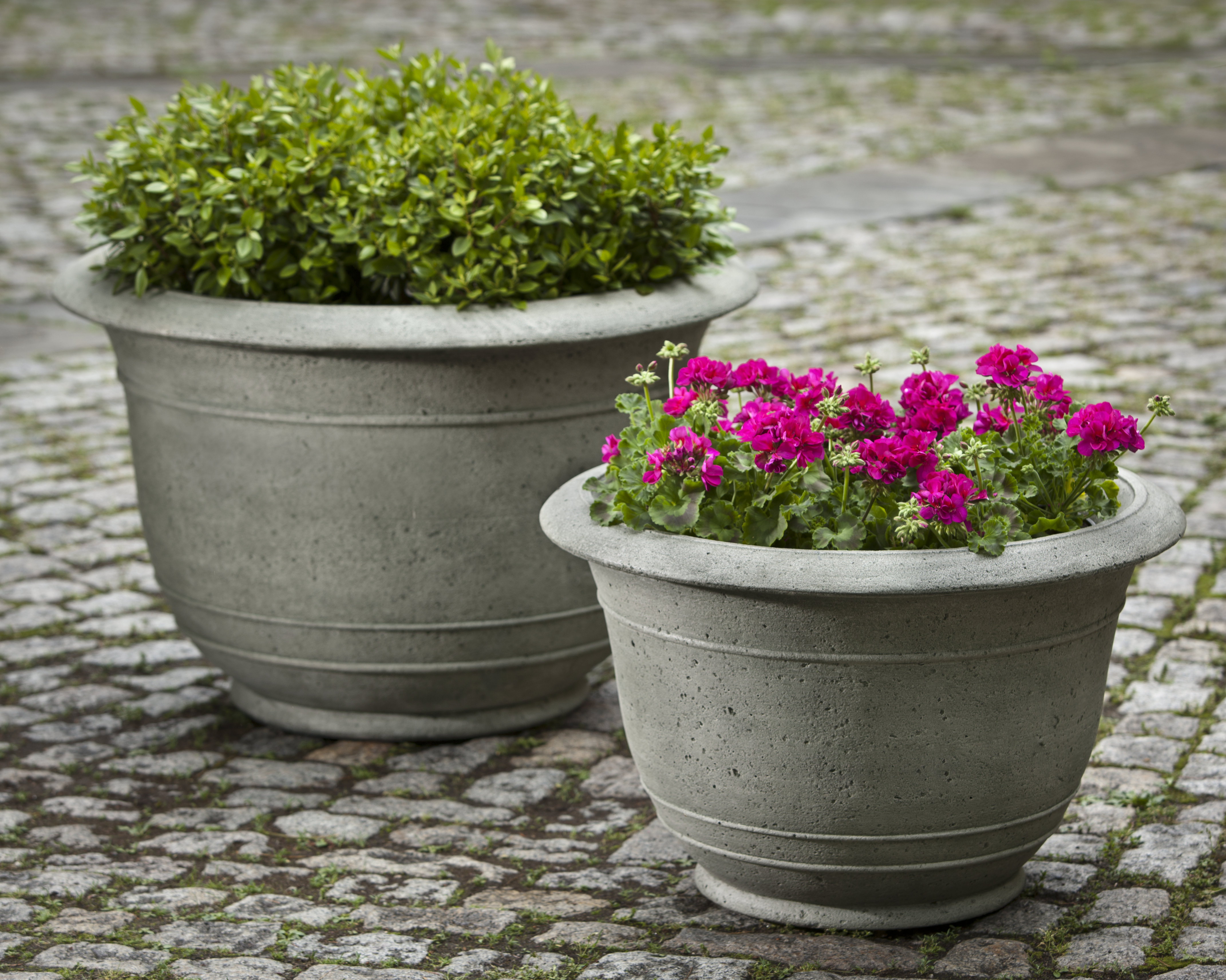 Campania International Padova Cast Stone Pot Planter | Wayfair