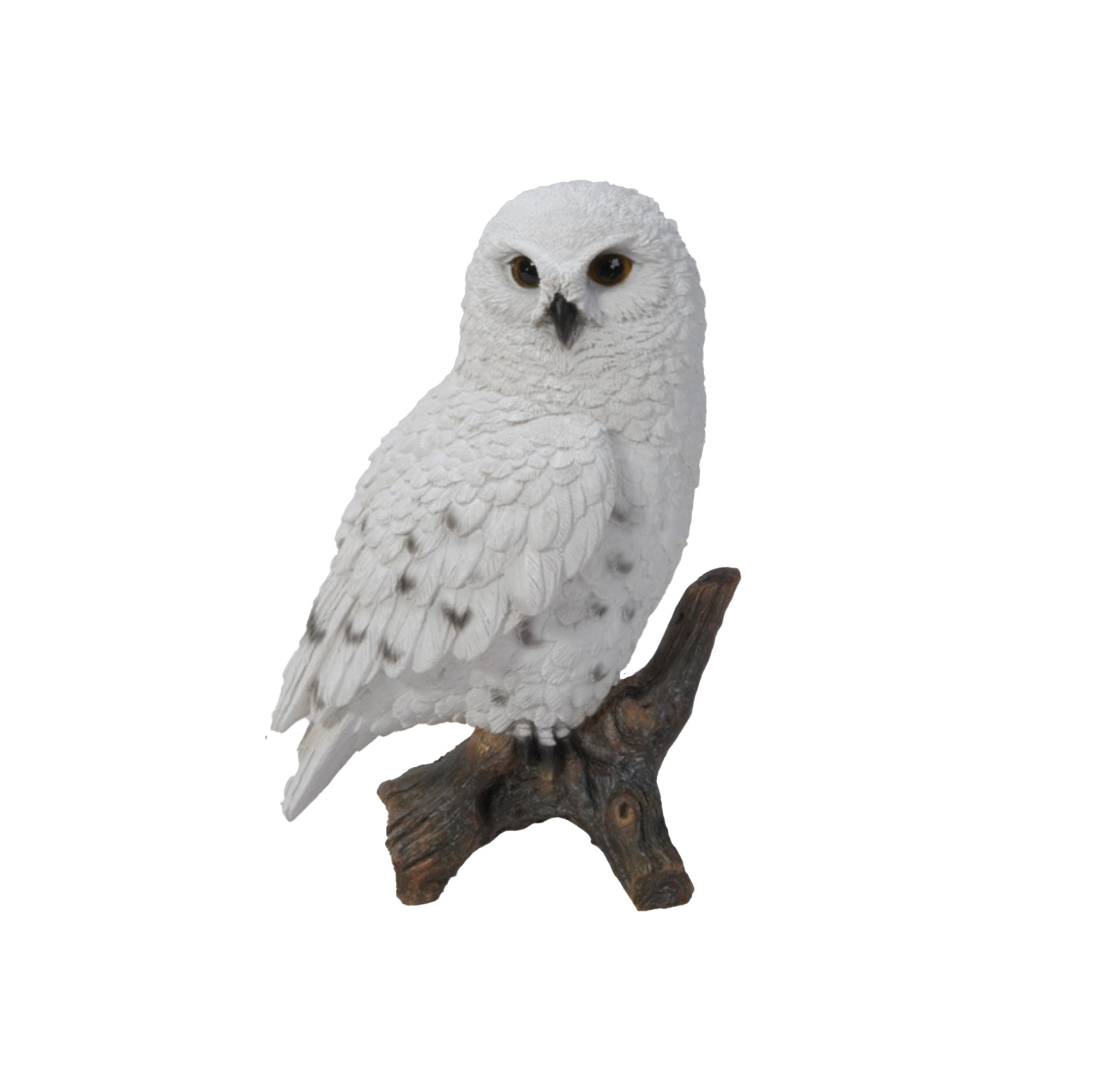 Hi-Line Gift Ltd. Snowy Owl on Stump Statue & Reviews | Wayfair