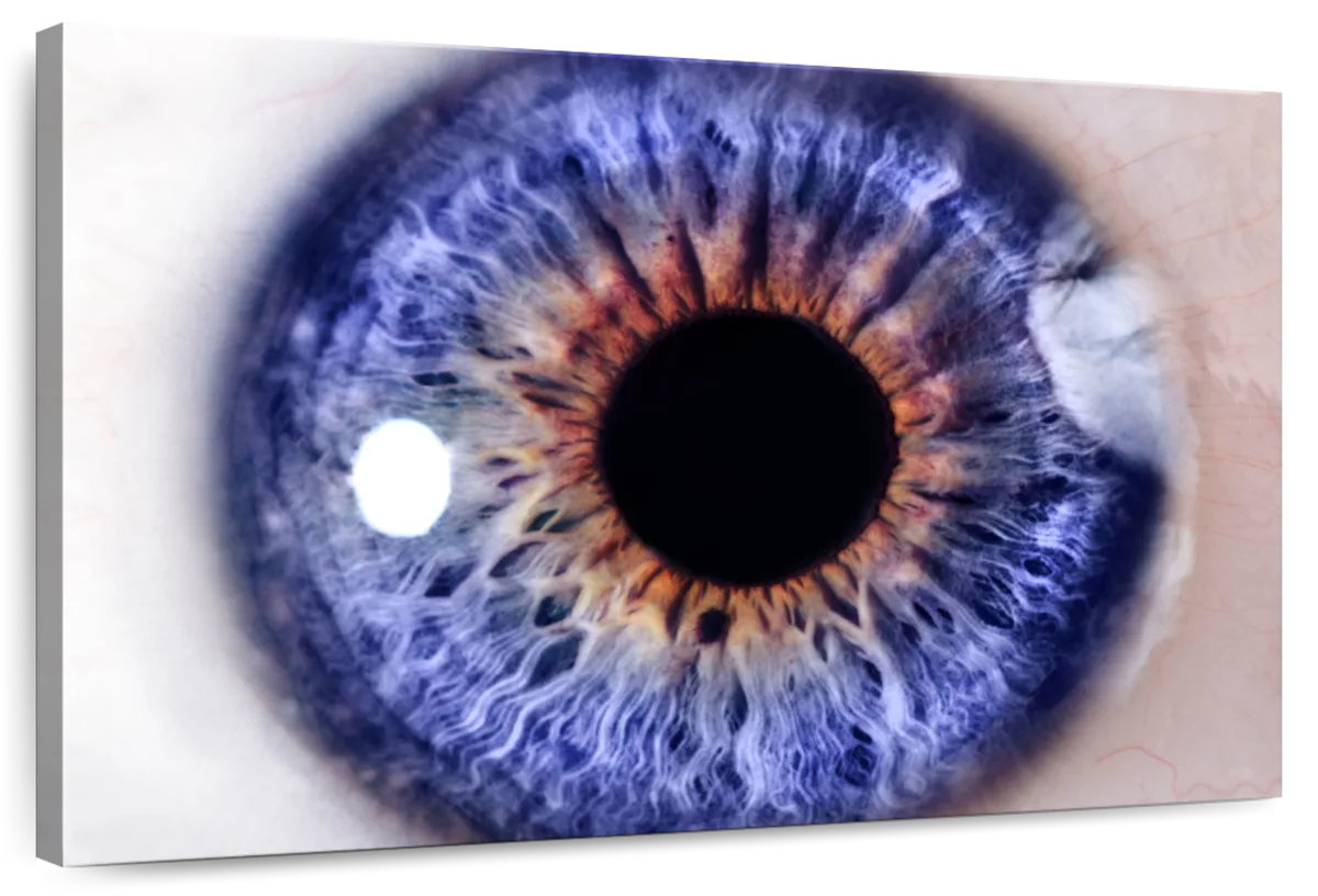 Ebern Designs Alcaraz Deep Blue Eye - Wayfair Canada