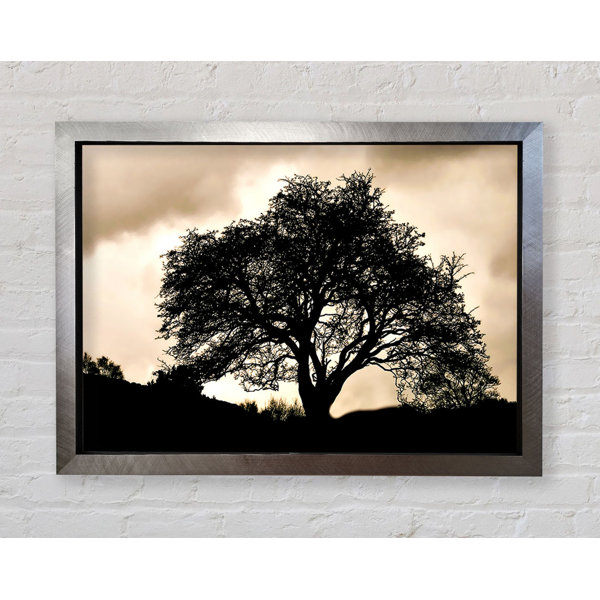 Bright Star Tree In First Light - Print | Wayfair.co.uk