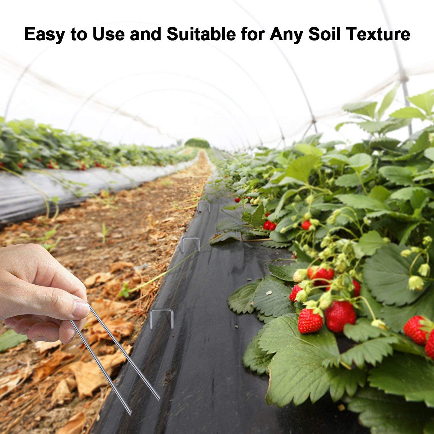 Amagabeli 200 Pack 6 Inch Galvanized Staple 11 Gauge Garden Stakes Sod ...