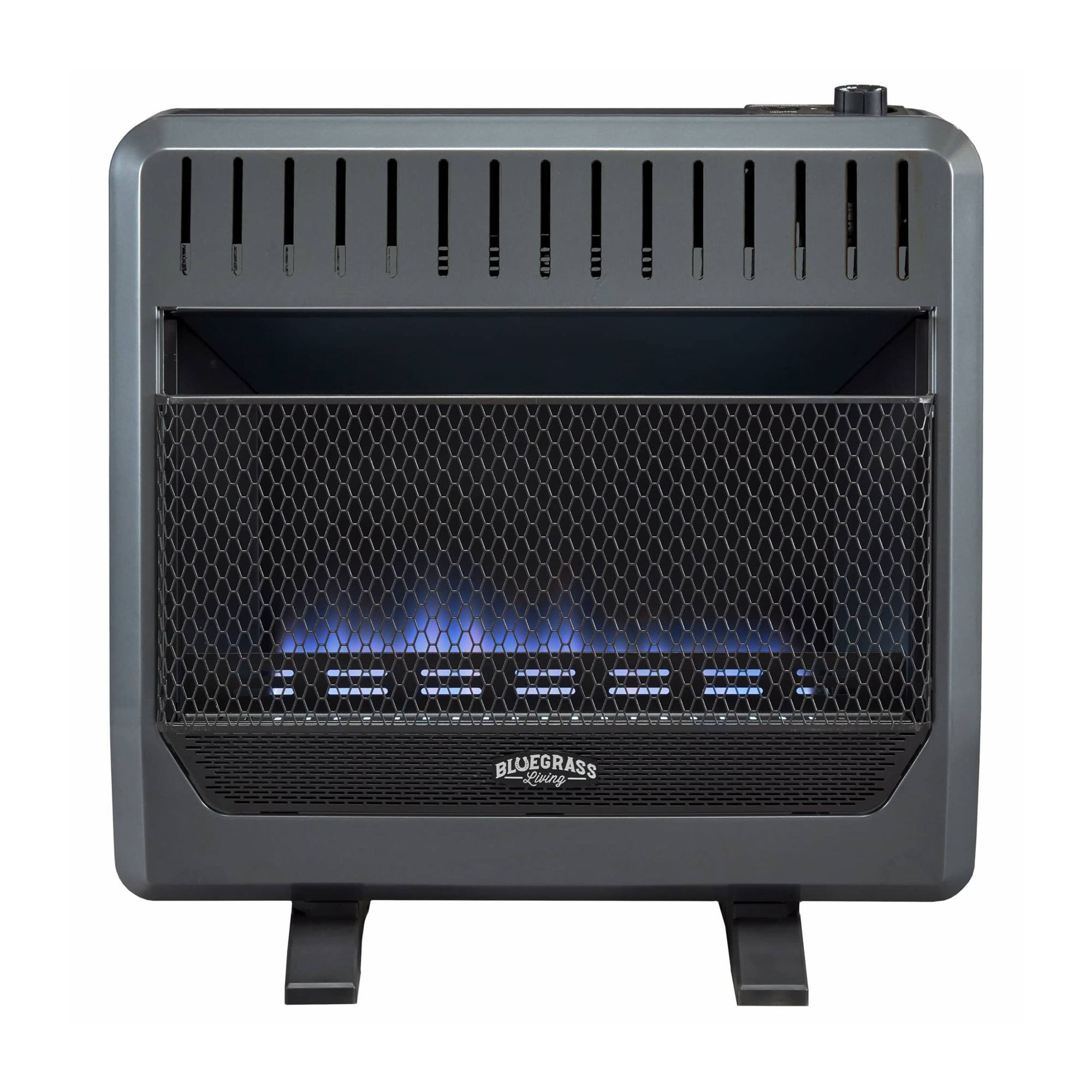 Bluegrass Living 30000 BTU Propane Wall Mounted Space Heater with ...