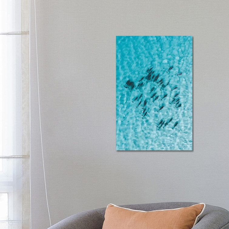 Highland Dunes Cruisy Dolphins V - Wrapped Canvas Photograph | Wayfair ...