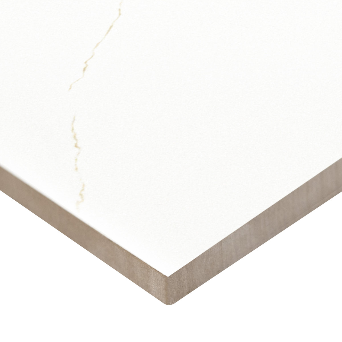 Ackland Belvia 12 in. x 24 in. Polished Porcelain Stone Look Floor and ...