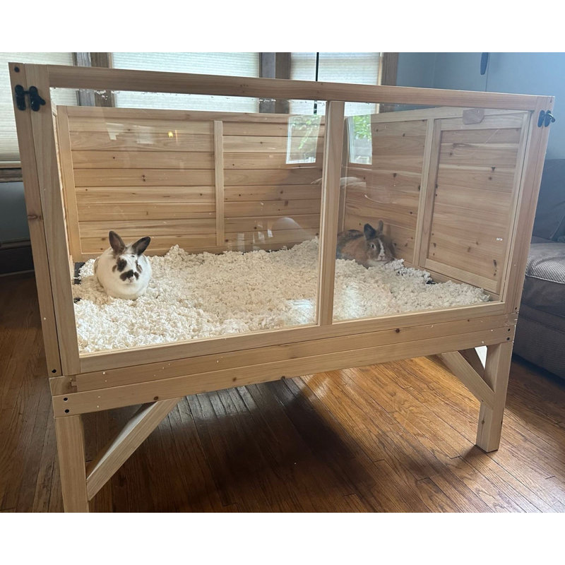 Zylina Raised Guinea Pig & Rabbit House & Reviews | Wayfair