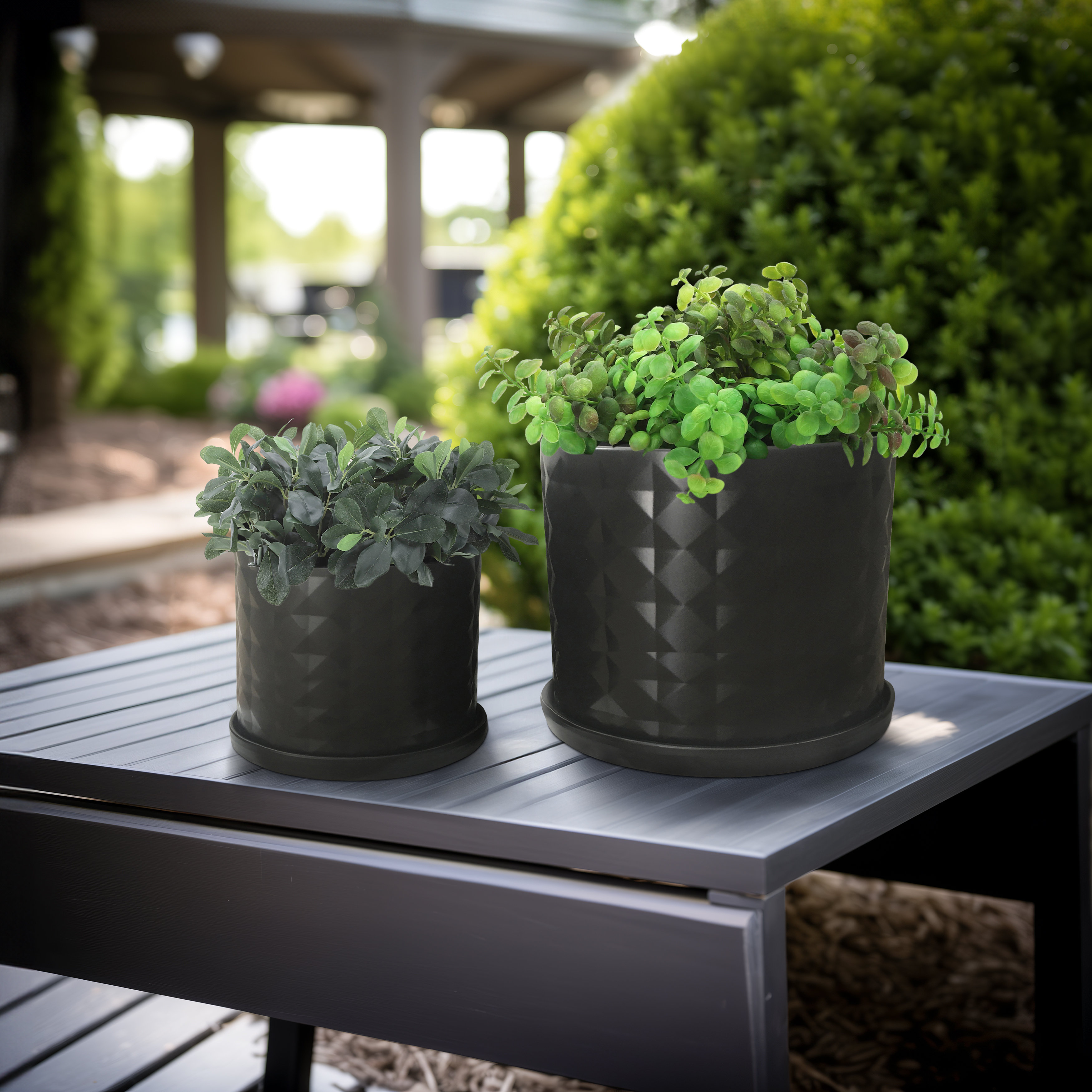 Corrigan Studio® Maez Stoneware Ceramic Saucer Planters with ...