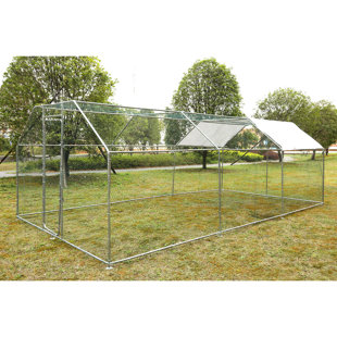 Chicken Runs You'll Love | Wayfair