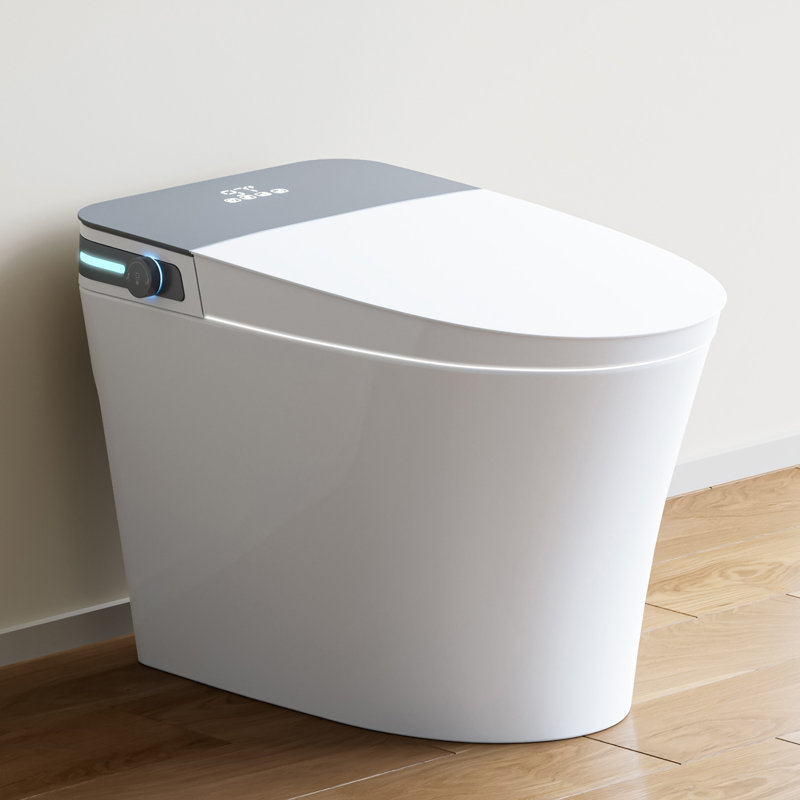 HOROW Smart Bidet Toilet 10" Rough-in, Smart Toilet with Auto Open ...