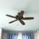 Hunter Fan 52" Builder Elite 5 - Blade Standard Ceiling Fan with Pull ...