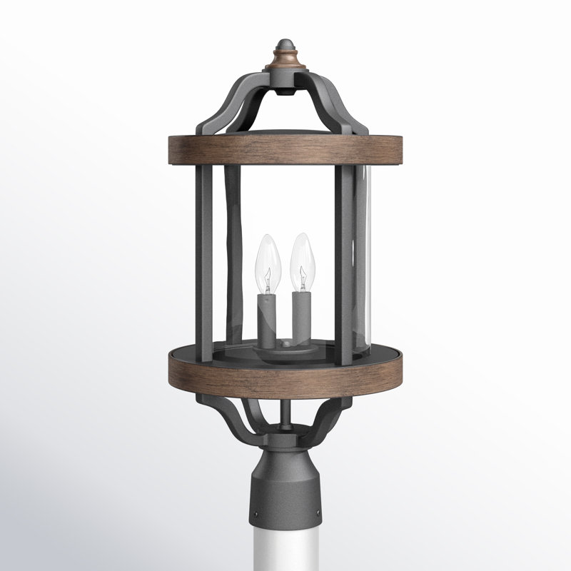 Laurel Foundry Modern Farmhouse® Eastbourne 2-Light Lantern Head ...