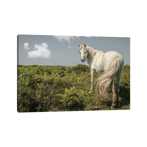 Natur Pur Swish by Mark Gemmell - Wrapped Canvas Print | Wayfair.co.uk