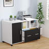 Inbox Zero 2-Drawer Lateral Filling Cabinet & Reviews | Wayfair