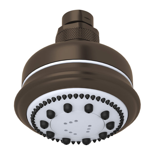 Rohl Master Adjustable Shower Head | Perigold