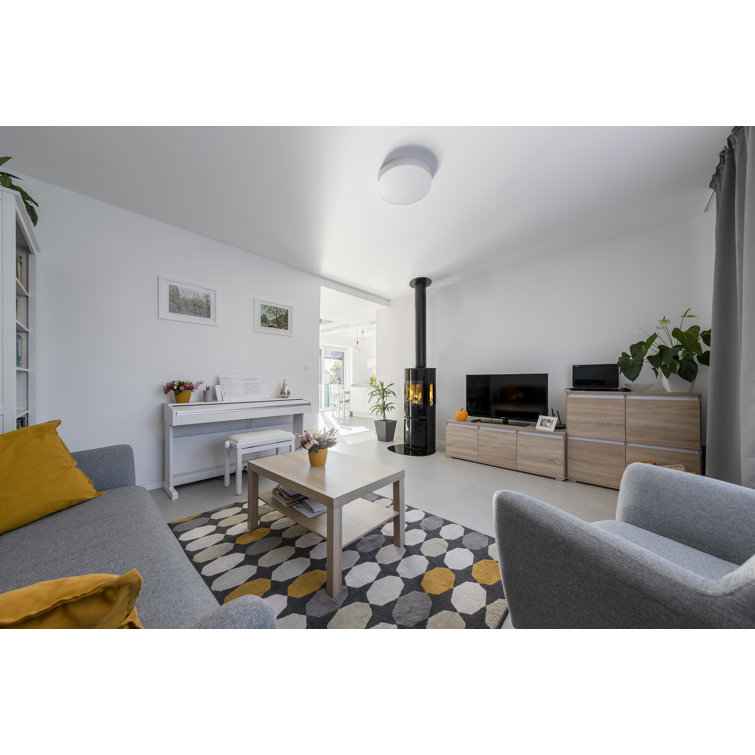 Brayden Studio Banji DEFRA Exempt, Airtight, Wood Burning Free Standing ...