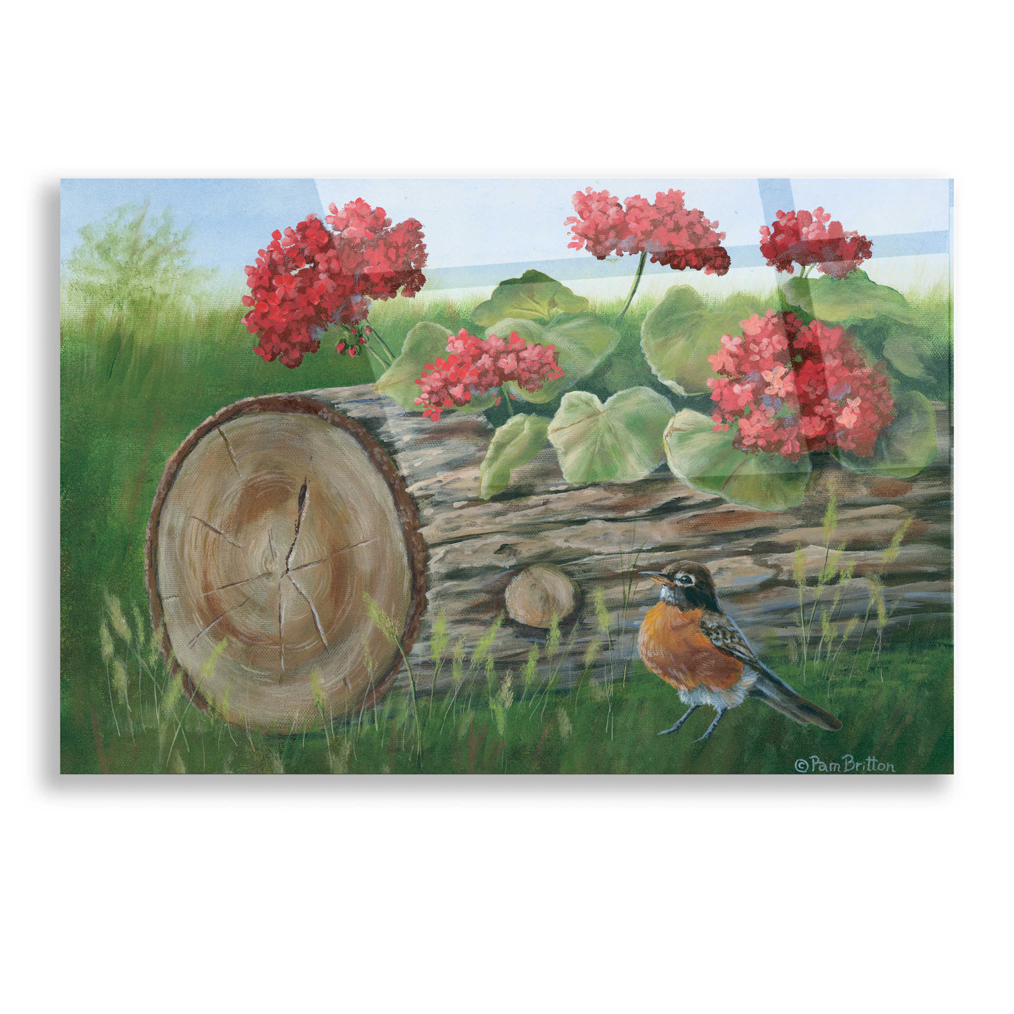 Red Barrel Studio® Robin Germaniums by Pam Britton - Unframed Graphic ...