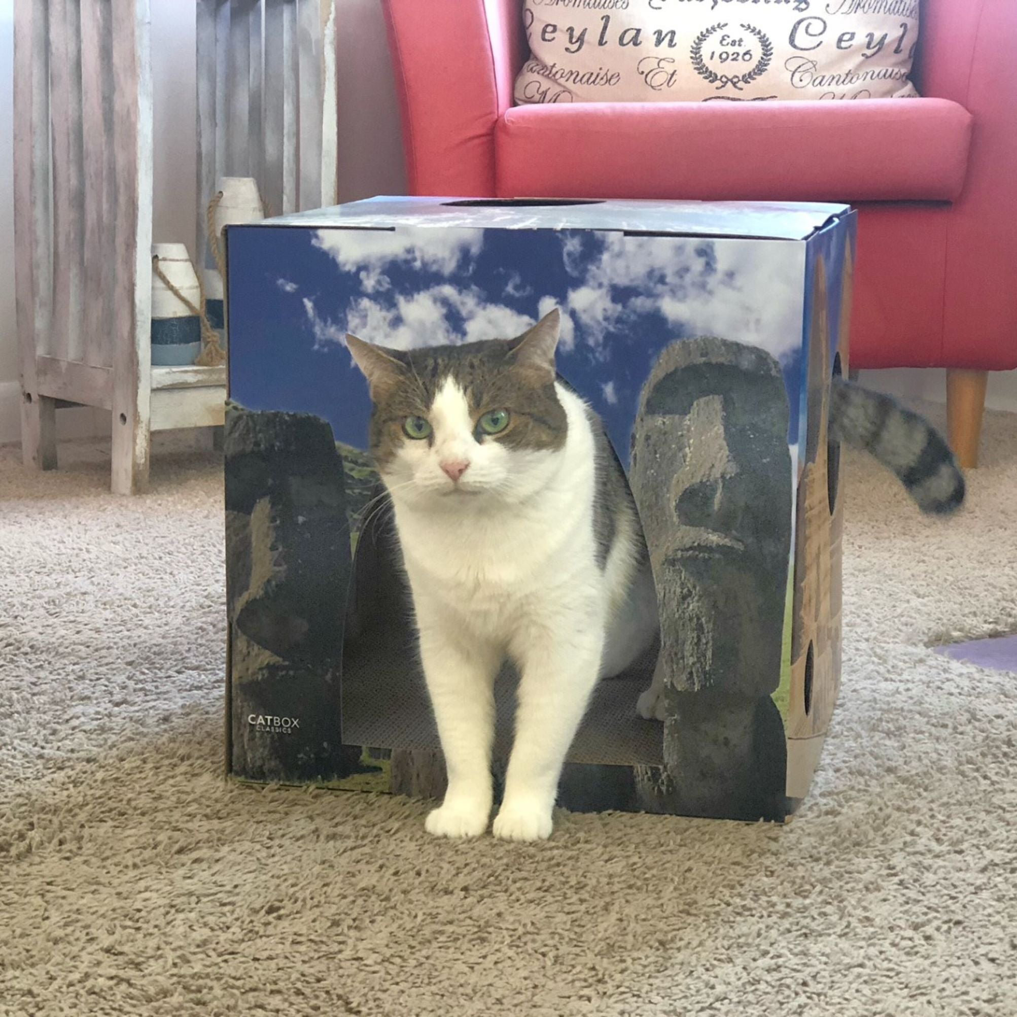 Tucker Murphy Pet™ Conchetta 14" Whiskers of the World Cat Condo ...