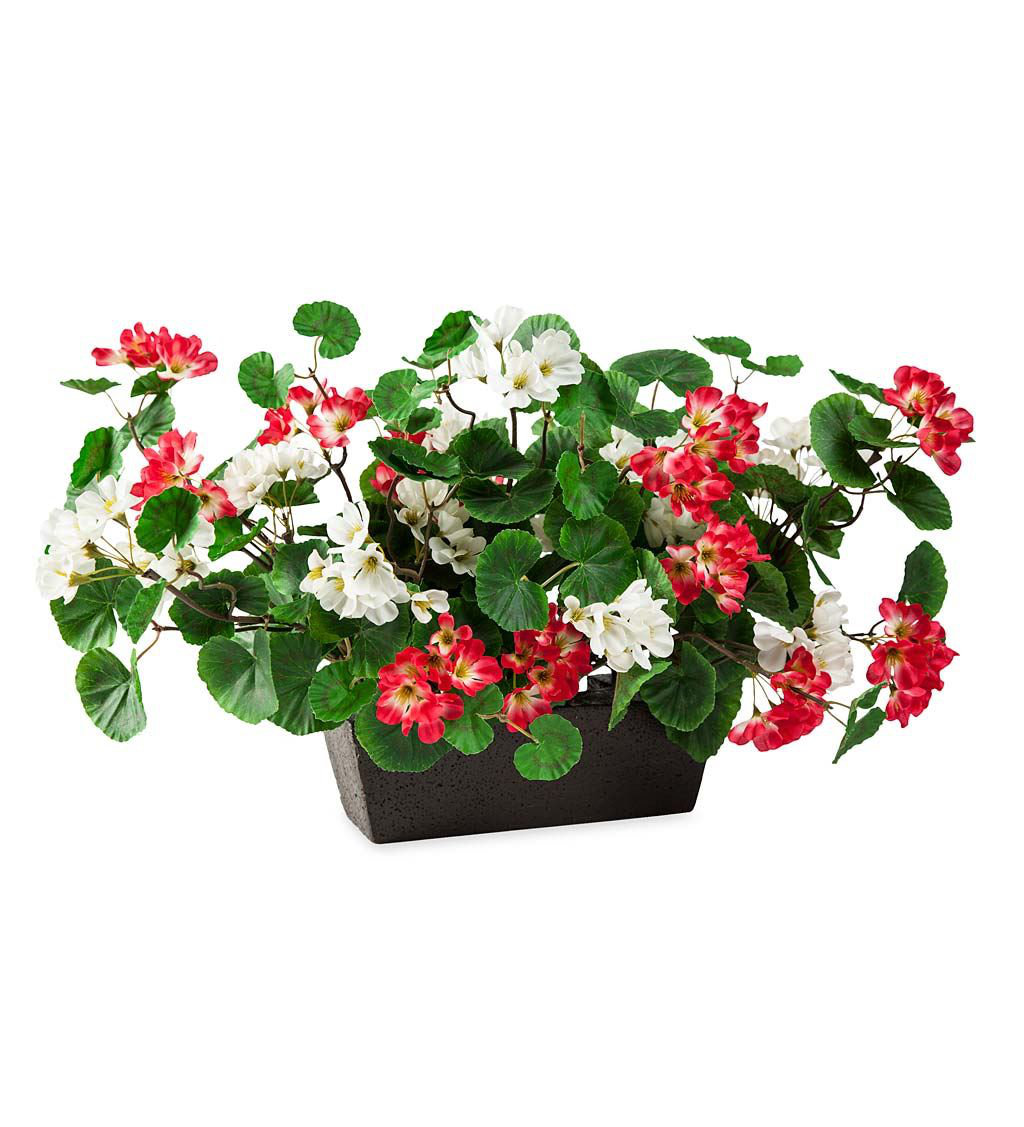 Plow & Hearth Everlasting Faux Geranium Flowering Plant in Box ...