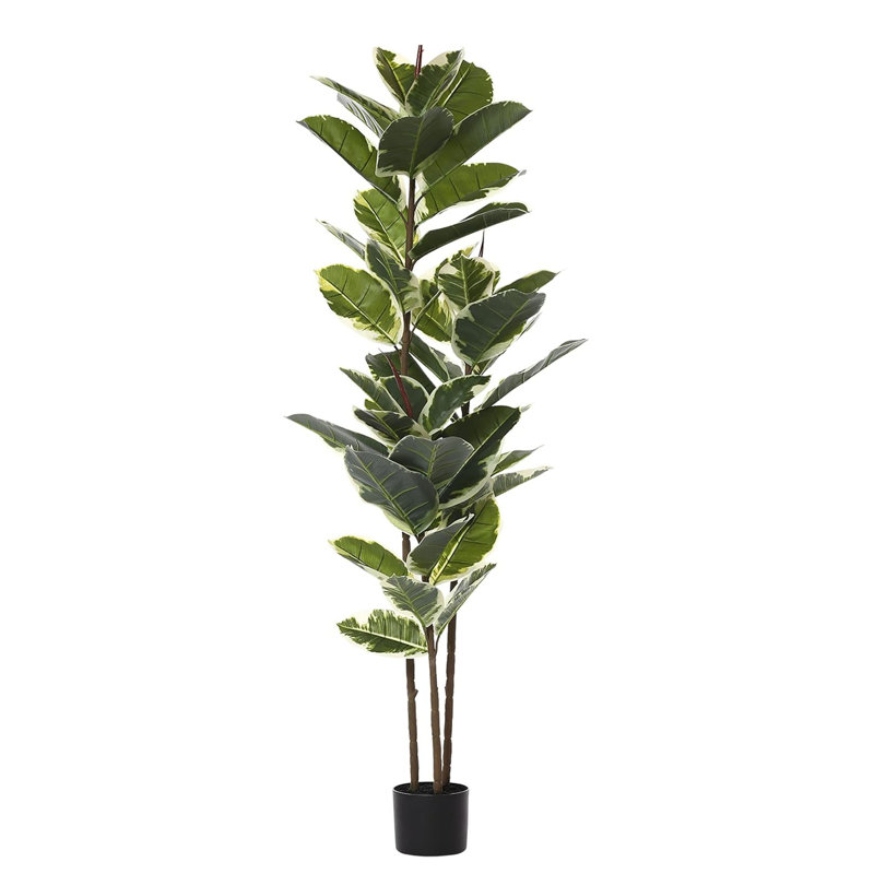 Primrue 5Ft Tall Faux Ficus Tree Potted Fake Tropical | Wayfair