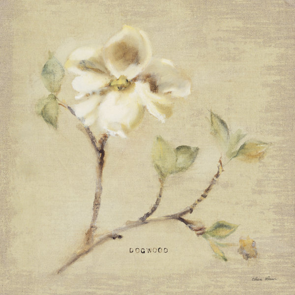 Winston Porter Dogwood Blossom by Cheri Blum Print - Wayfair Canada