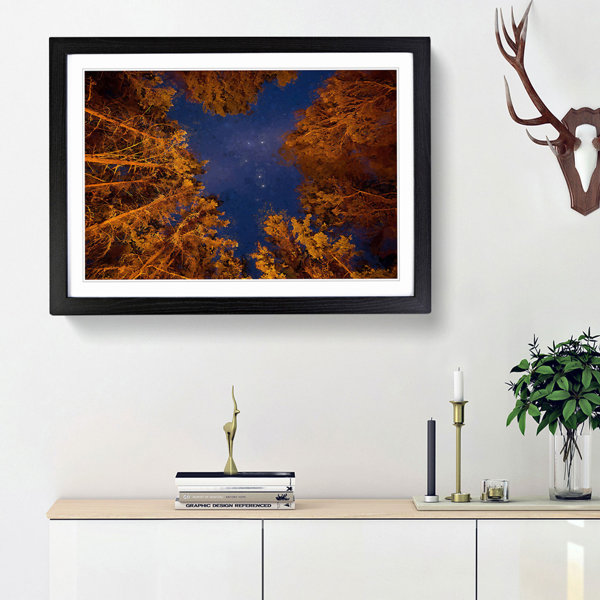 East Urban Home Forest Stars in Canada - Picture Frame Graphic Art ...