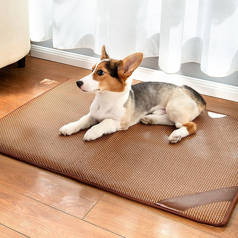 Tucker Murphy Pet™ Pet Floor Mat - Wayfair Canada