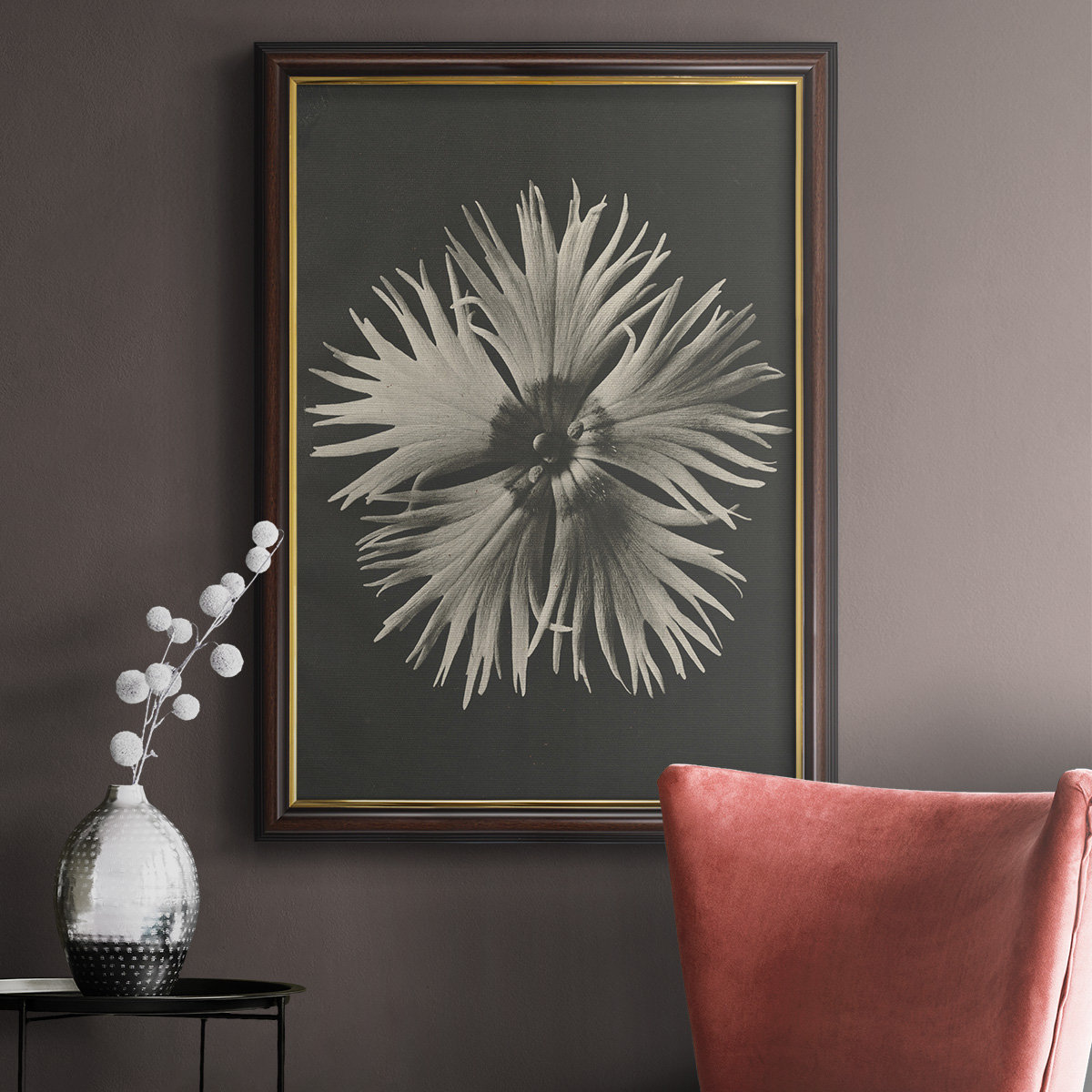 Red Barrel Studio Blossfeldt Flower IV Premium Framed Canvas- Ready To ...