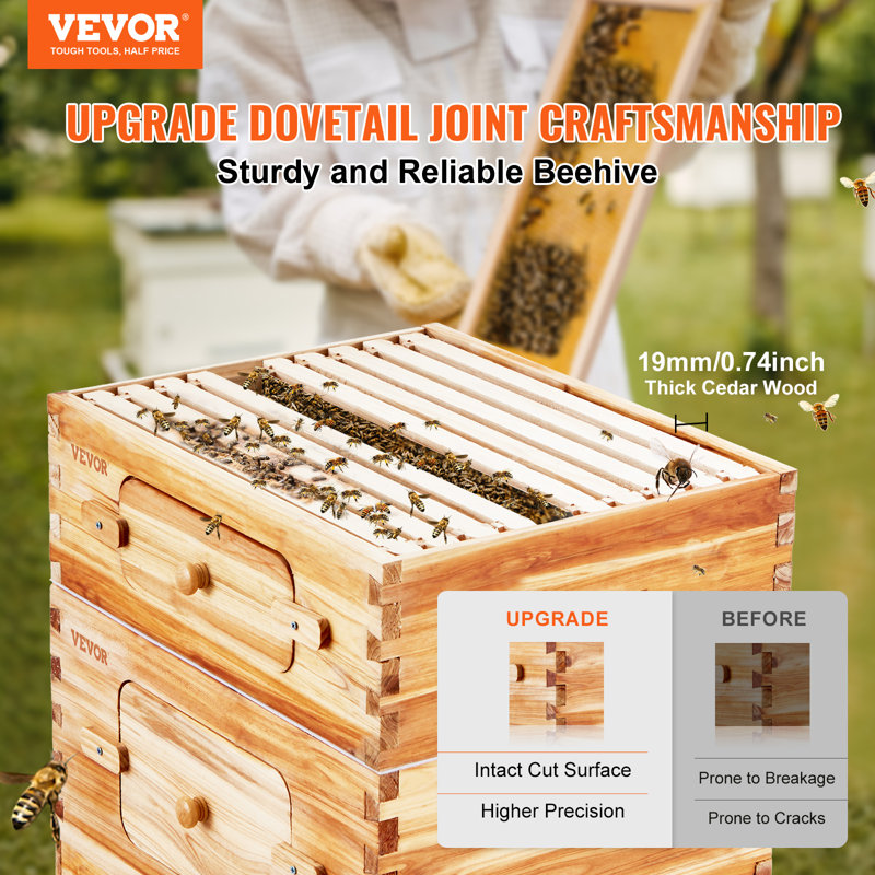 VEVOR Bee Hive 30 Frame Bee Hives Starter Kit | Wayfair