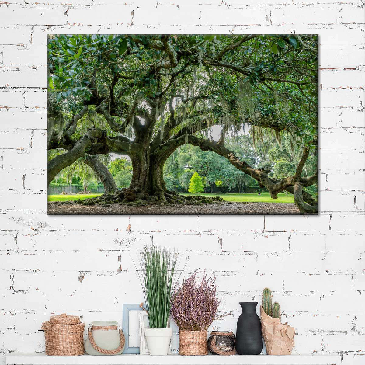 Winston Porter Oak Tree Audubon Park Oak Tree Canvas Print - Wayfair Canada