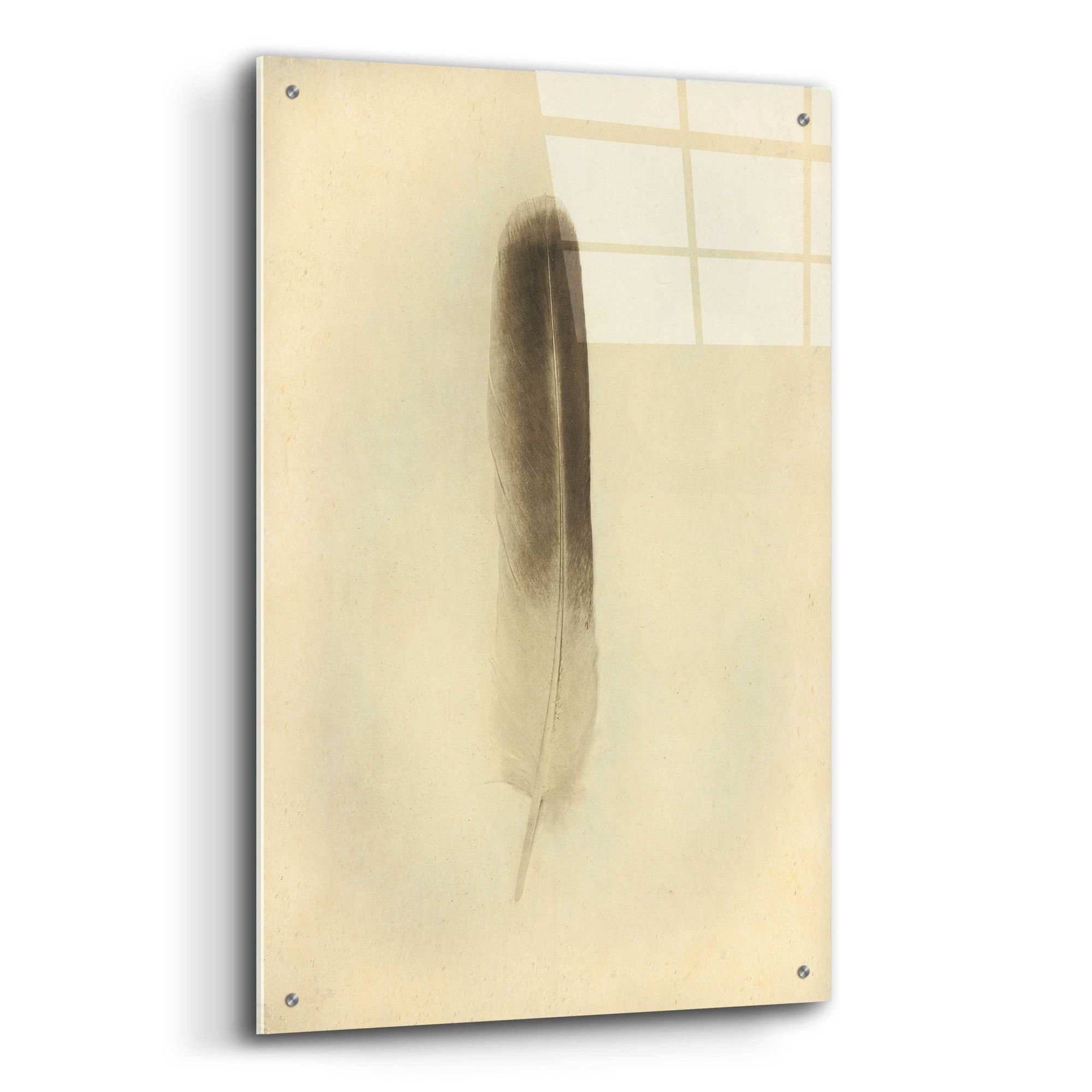 Dakota Fields Feather II Vintage' By Debra Van Swearingen, Acrylic ...