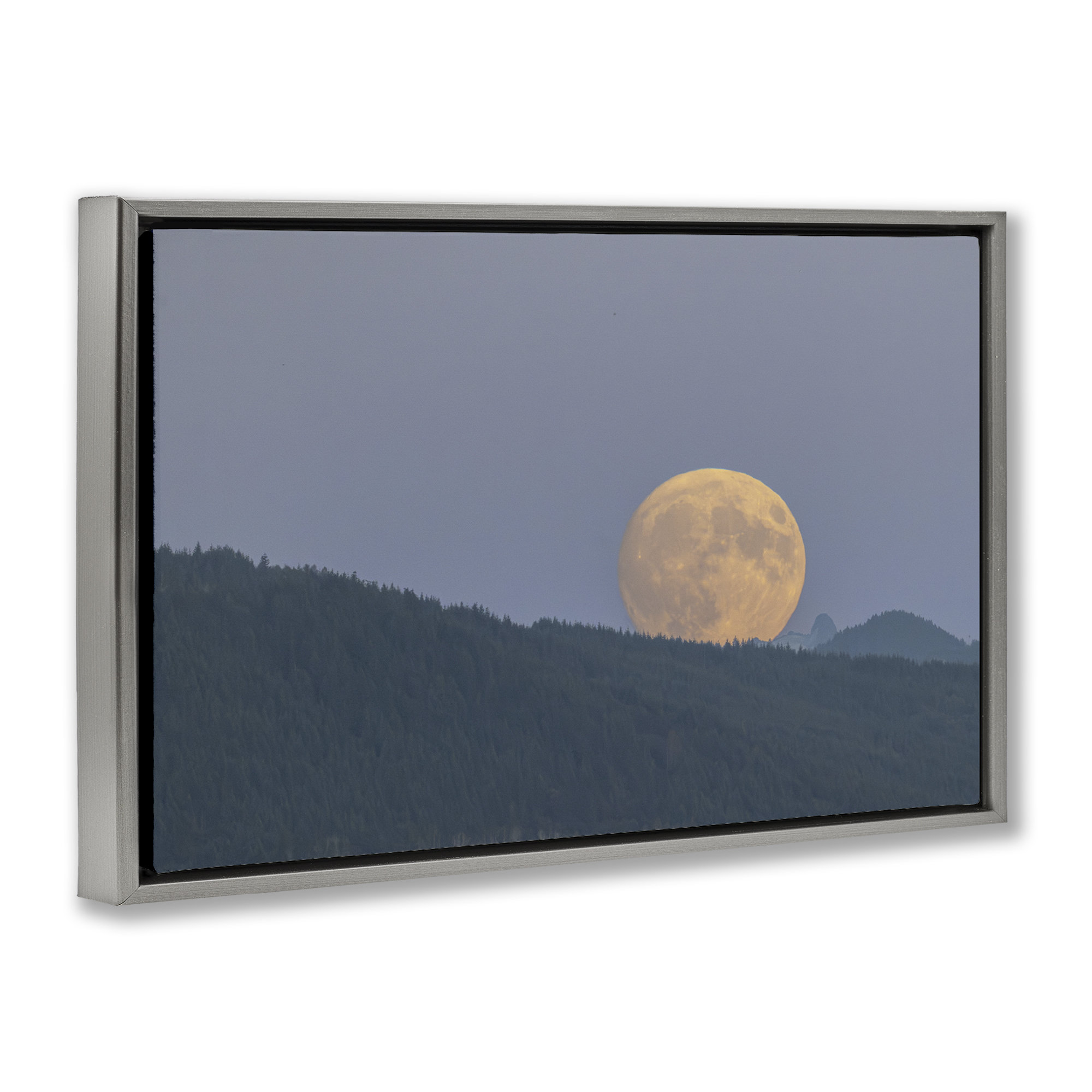 Latitude Run® Majestic Moonrise Landscape Floating Frame, design by ...