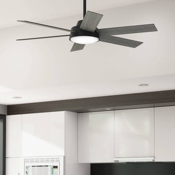Hunter Fan 52" Erling 6 - Blade Ceiling Fan with LED Light Kit and Pull ...