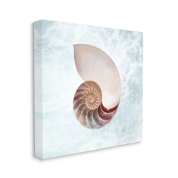 Stupell Industries " Aquatic Nautilus Spiral Seashell " by Marcus Prime ...