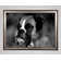 Brayden Studio Boxer Beauty - Single Picture Frame Art Prints | Wayfair ...