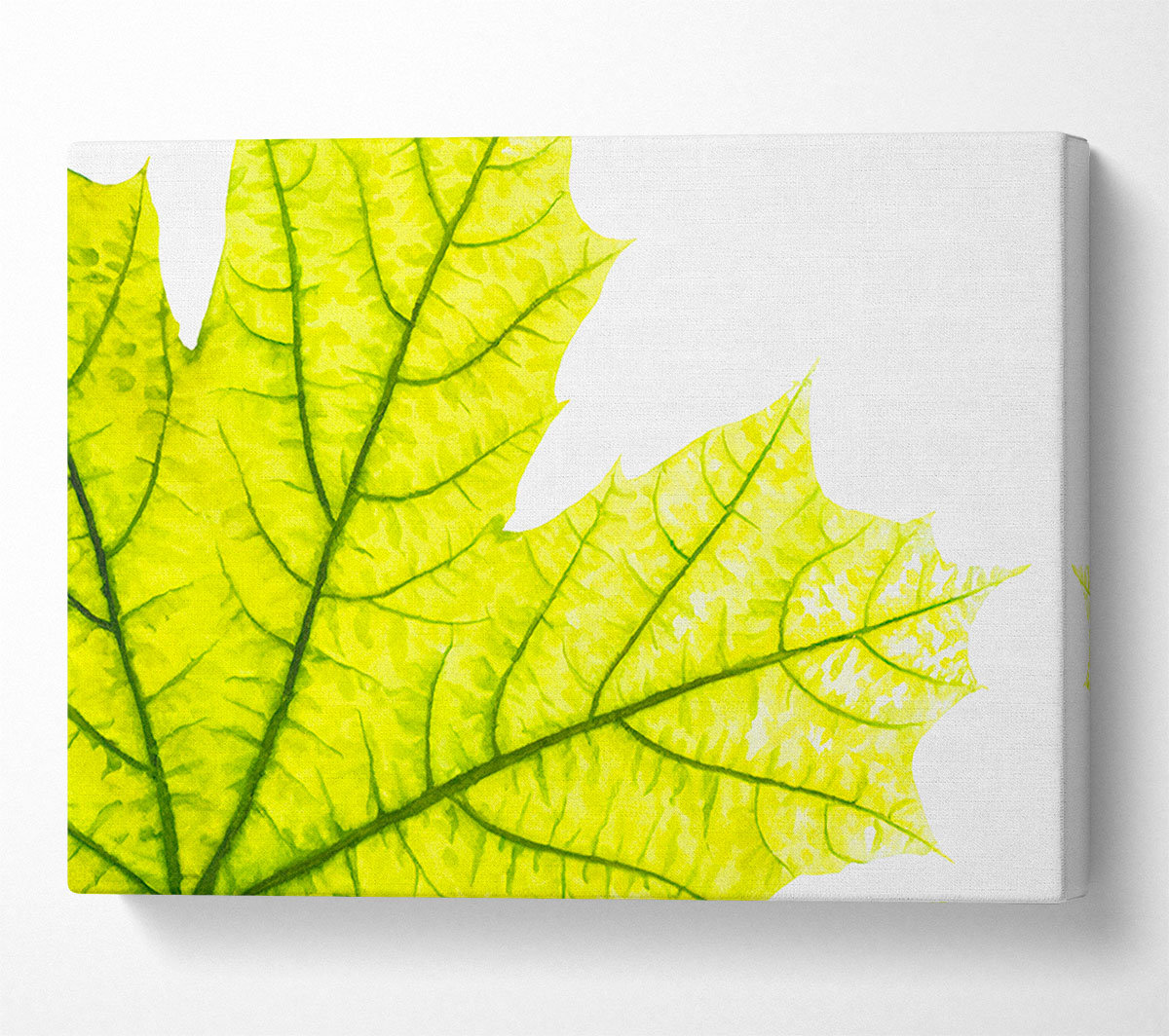 ClassicLiving Magnificent Leaf - Wrapped Canvas Art Prints | Wayfair.co.uk