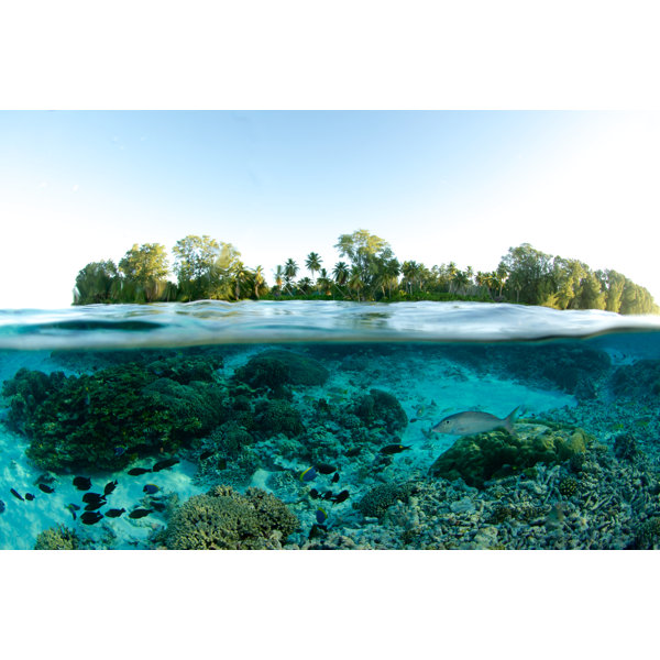 House of Hampton Island split level | Wayfair.co.uk