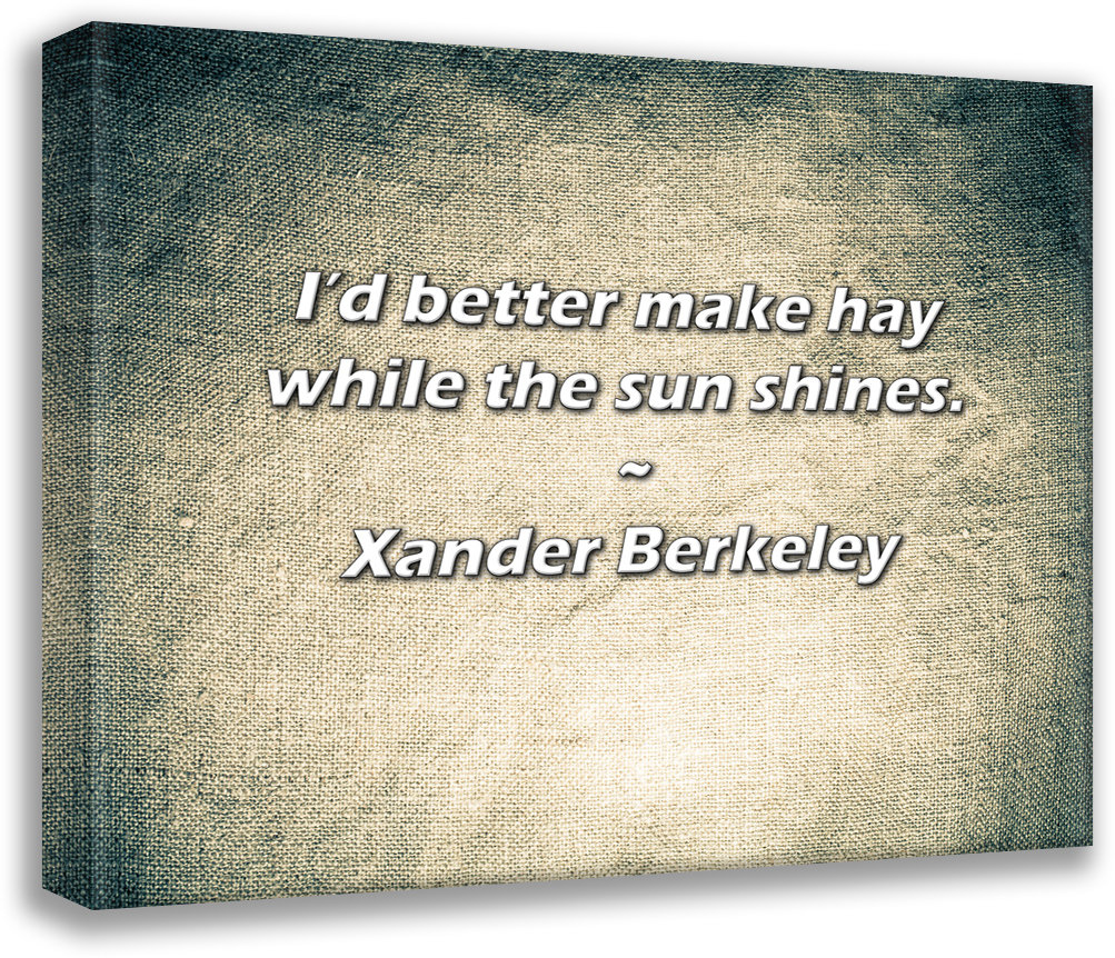 Latitude Run® Artsy Quote "I’d better make hay while the sun shines ...