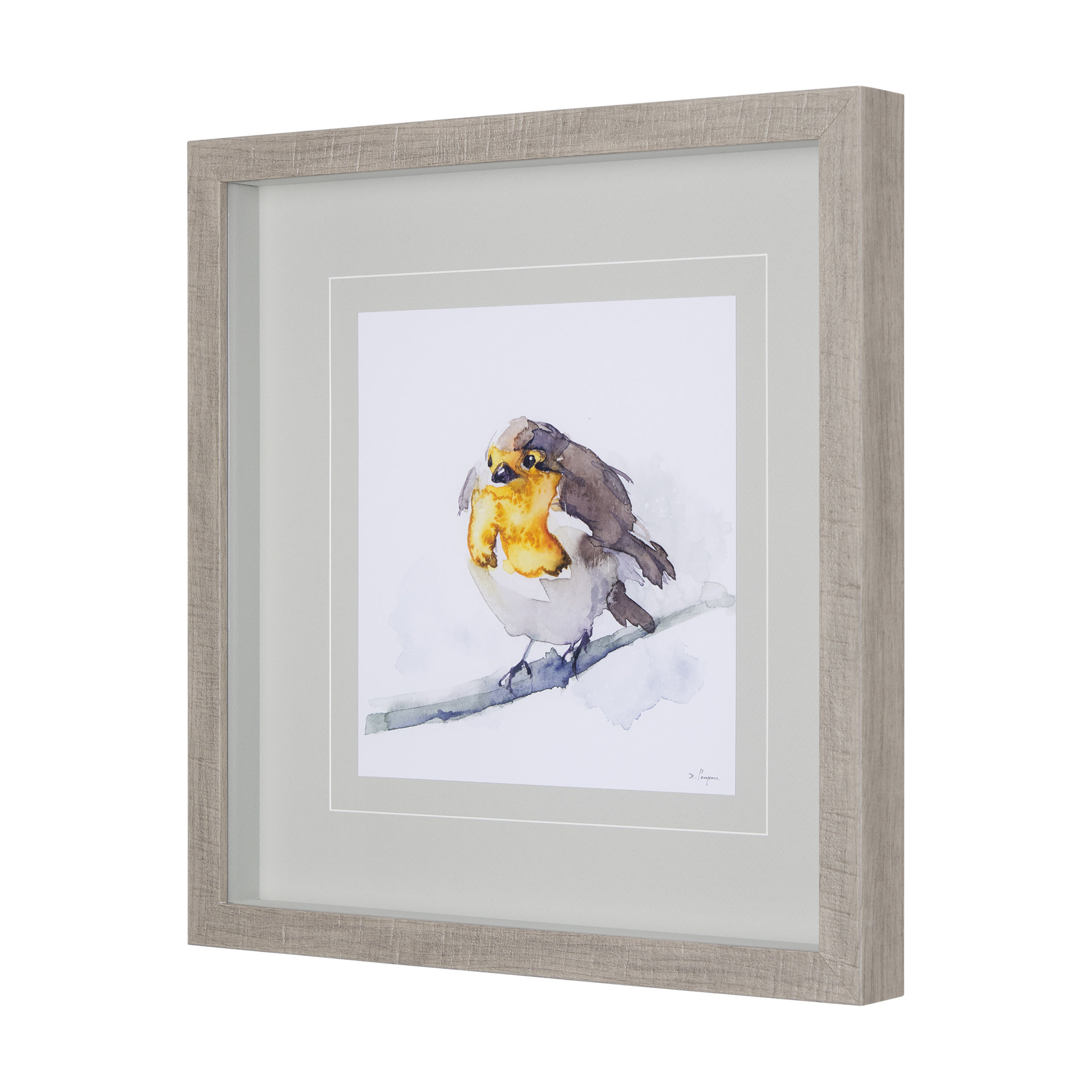 Red Barrel Studio Robin III Framed On Paper Print | Wayfair