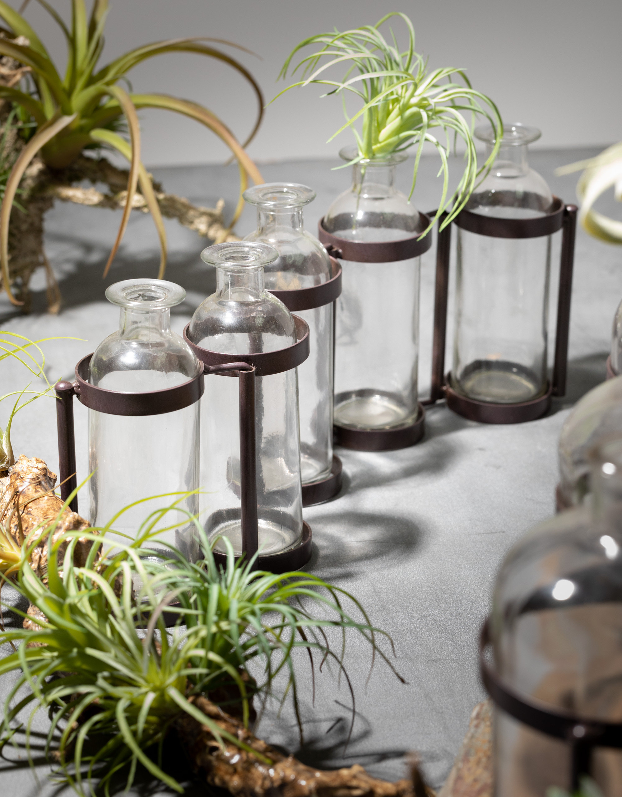 Gracie Oaks Marvin 5 Piece Decorative Bottle Set & Reviews | Wayfair