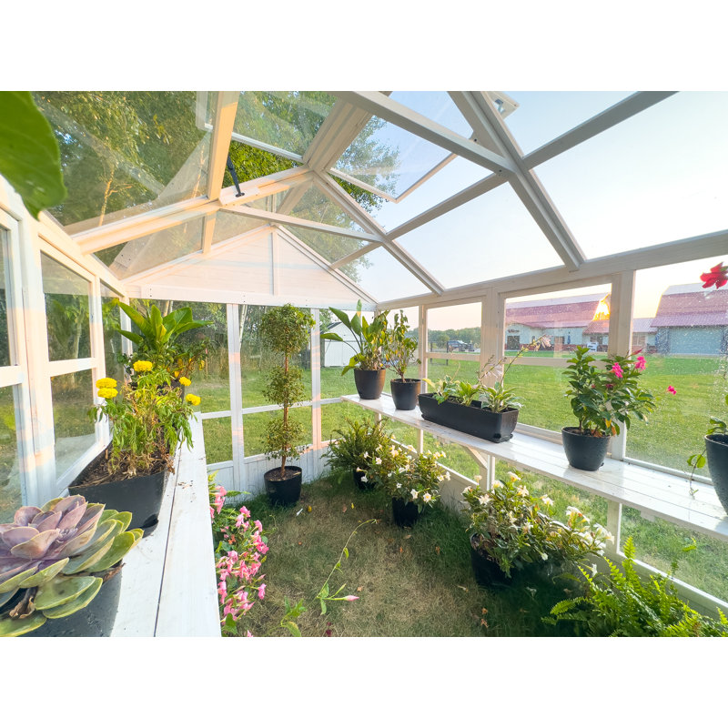 Zylina 78' W x 103.1' D Greenhouse | Wayfair