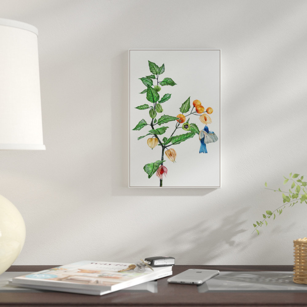East Urban Home 'Cape Gooseberry II' Graphic Art Print on Canvas | Wayfair