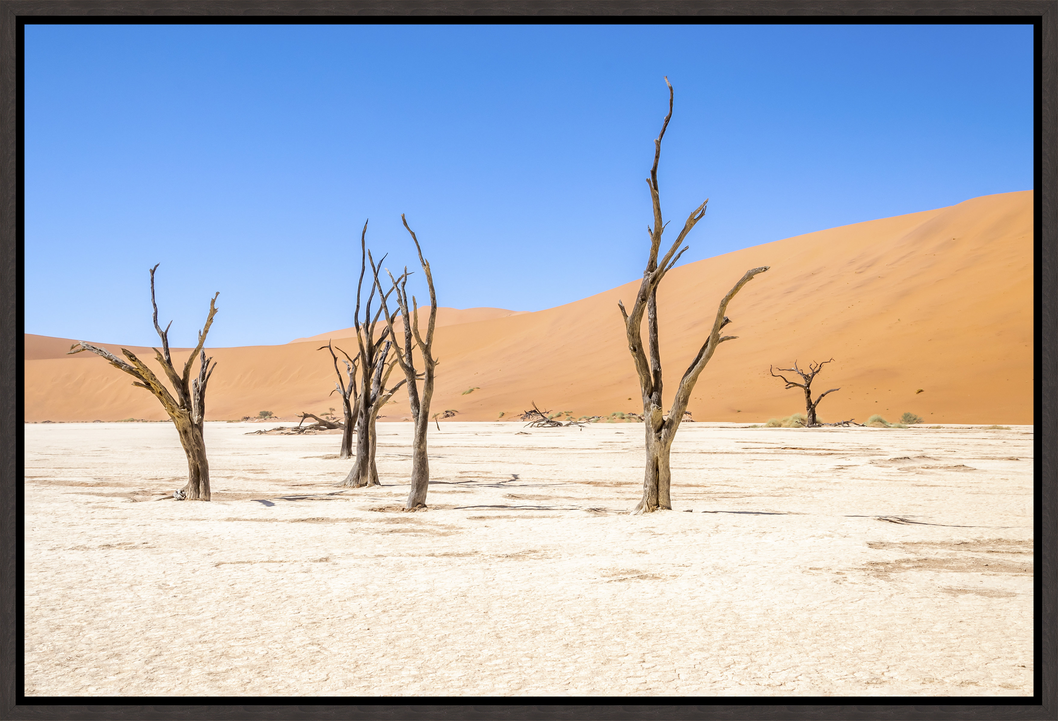 Chelsea Art Studio Namibian Skeleton Trees XII by Richard Silver ...