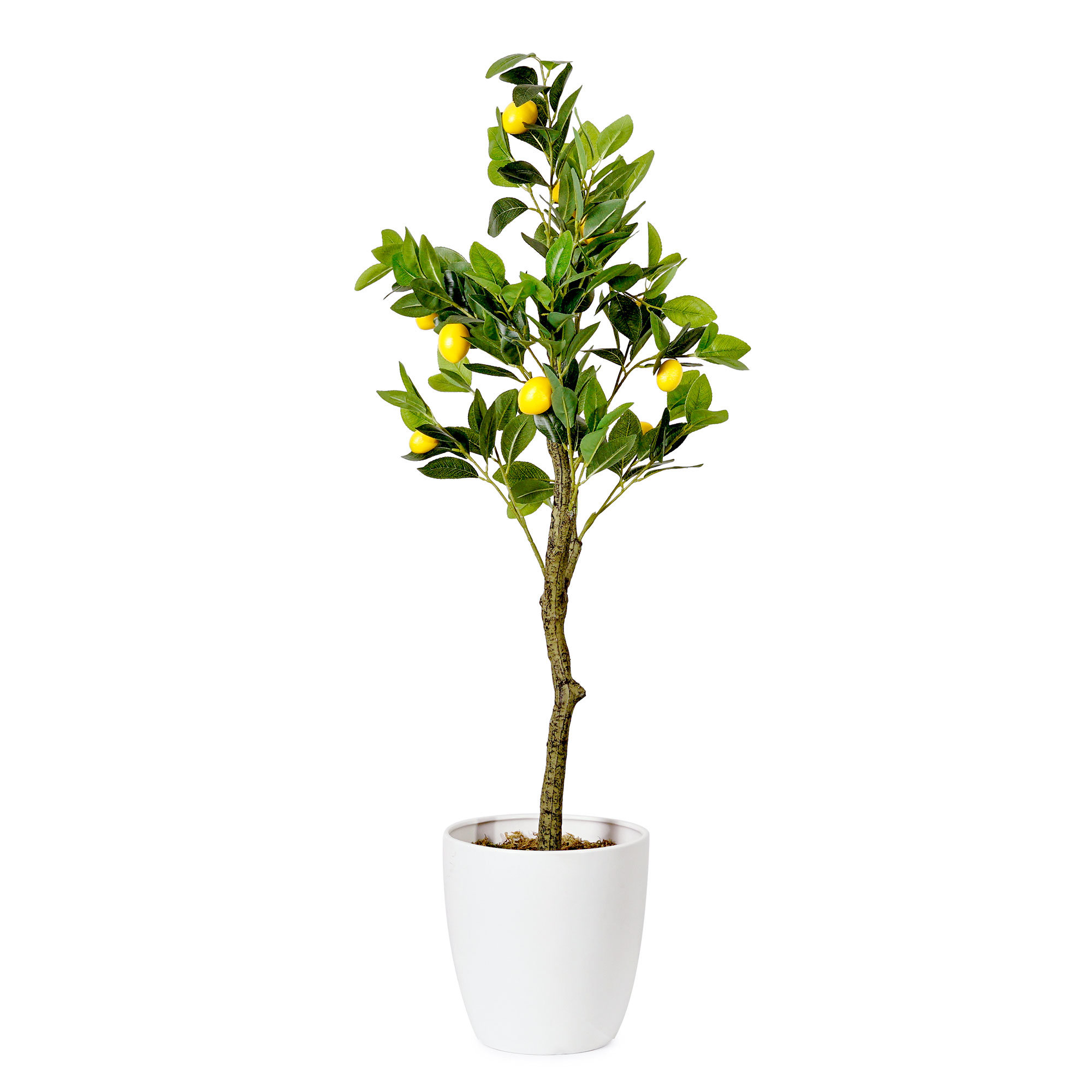 Primrue 48'' Faux Lemon Tree in Ceramic Pot | Wayfair