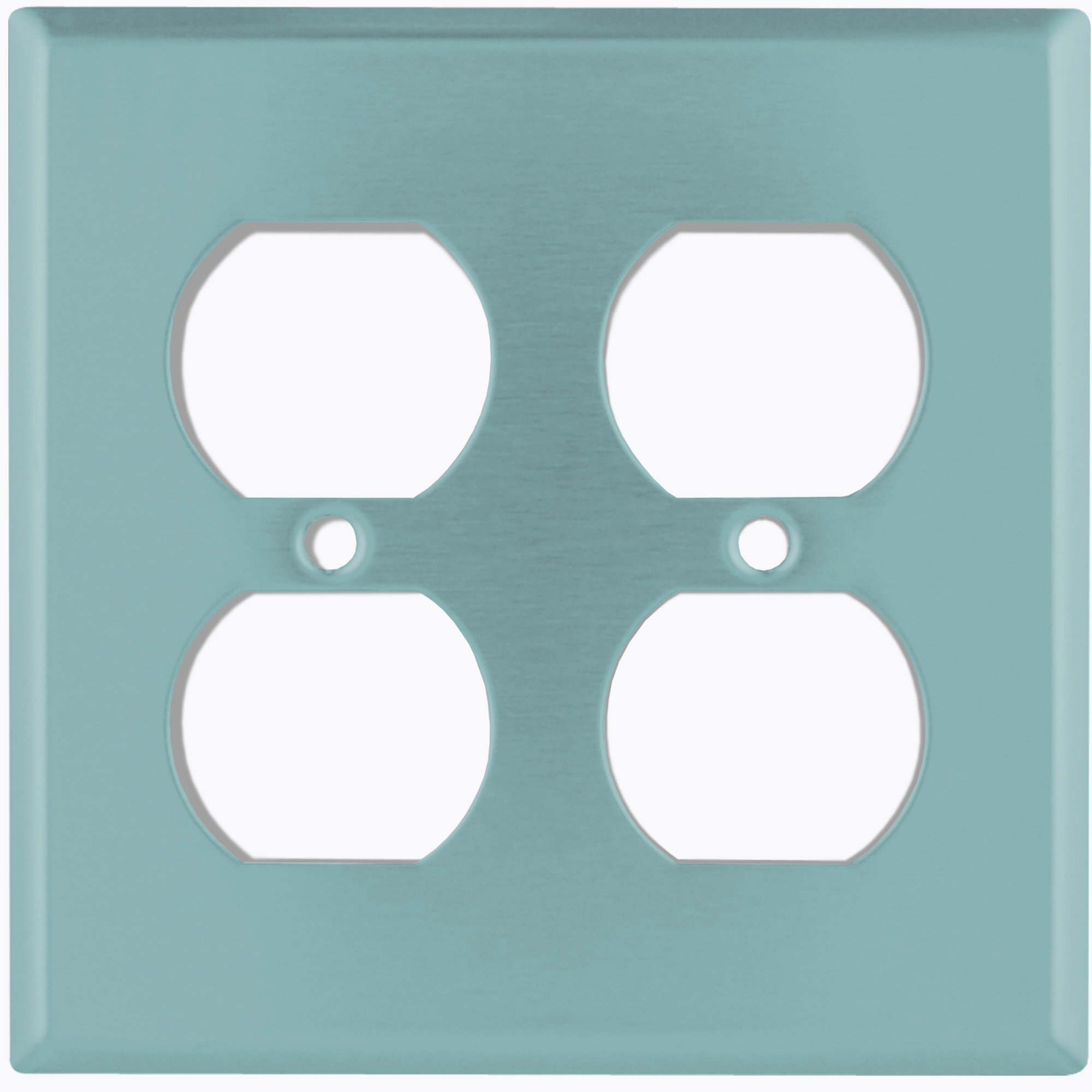 WorldAcc Metal 2-Gang Duplex Outlet Wall Plate | Wayfair