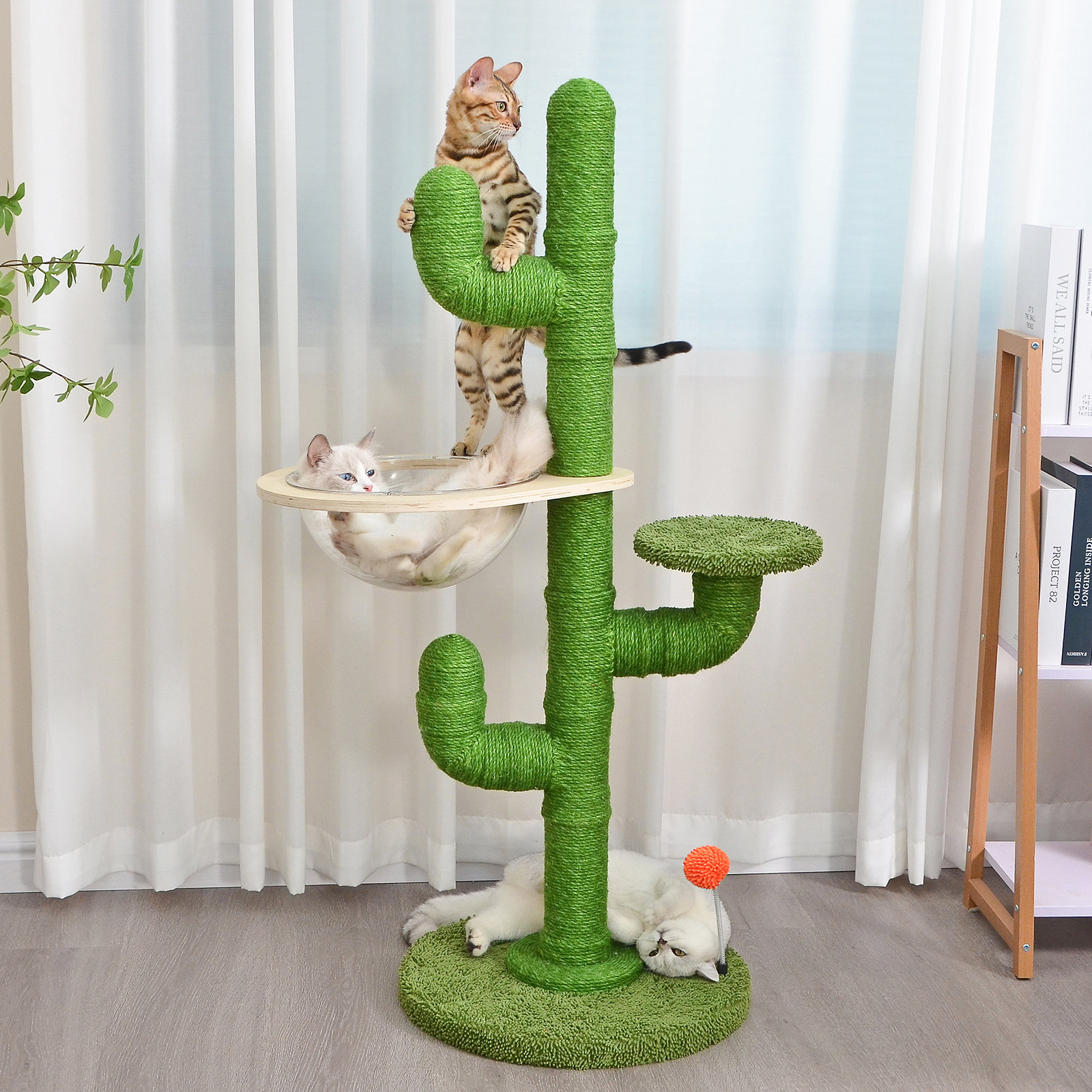Cactus Cat
