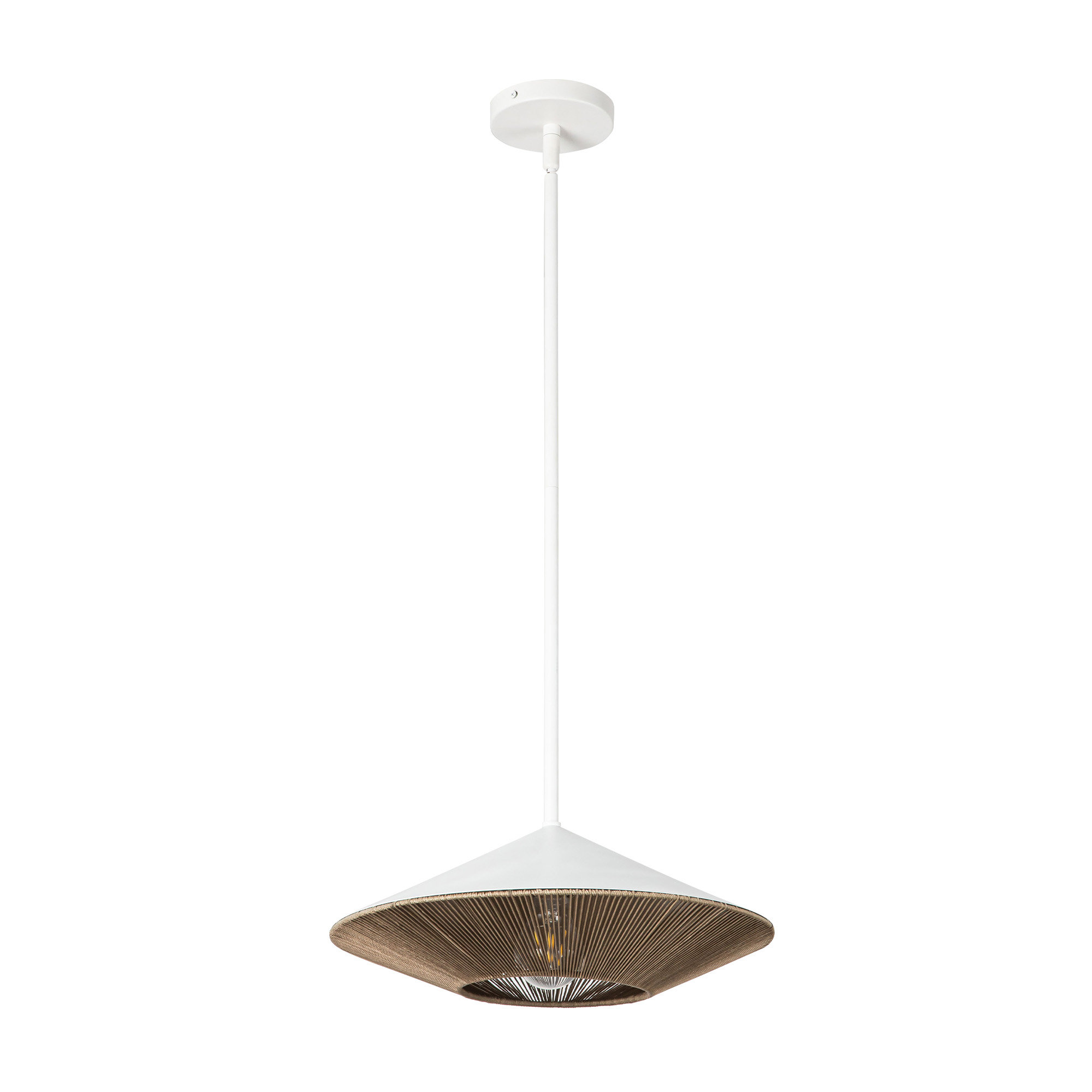 AllModern Keaz 1 - Light Pendant | Wayfair