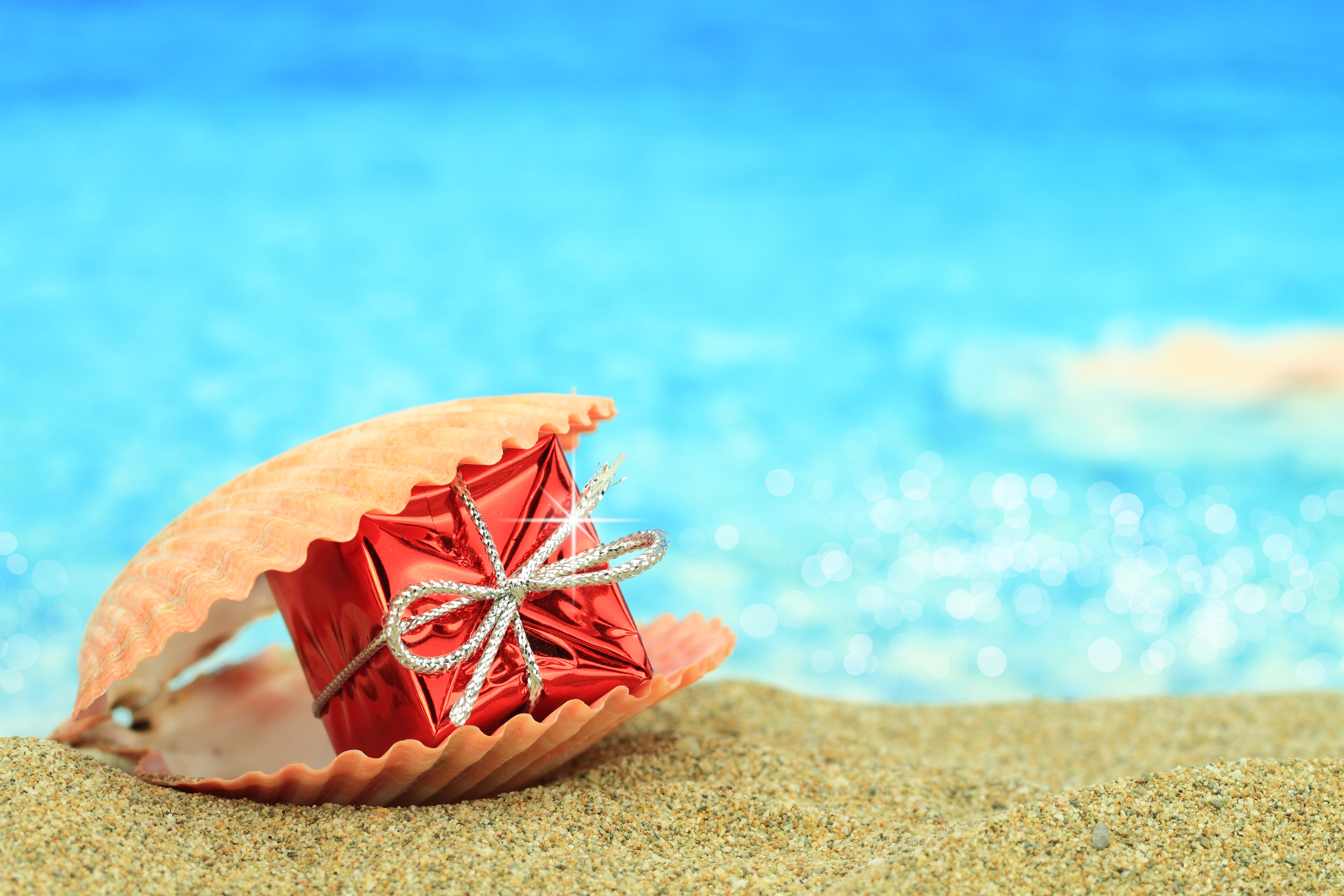 Highland Dunes Gift Box In Sea Shell - Wayfair Canada