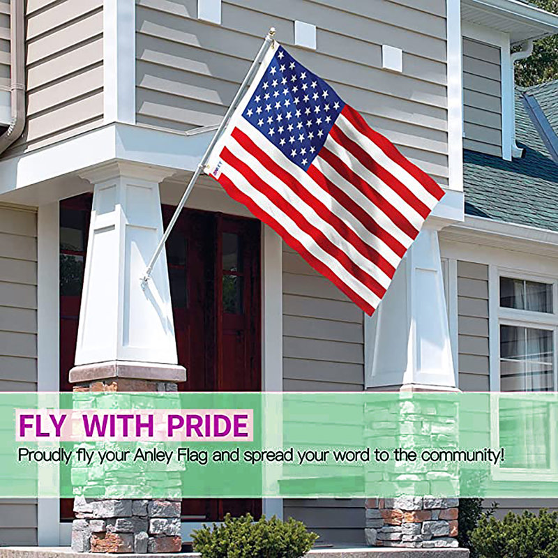 Arlmont & Co. Lynita American Flag Nylon 2-Sided House Flag Embroidered ...