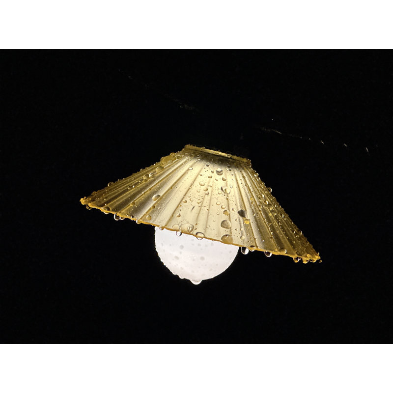 Winston Porter Raegen Outdoor 10 - Bulb 192'' Plug-in String Light ...